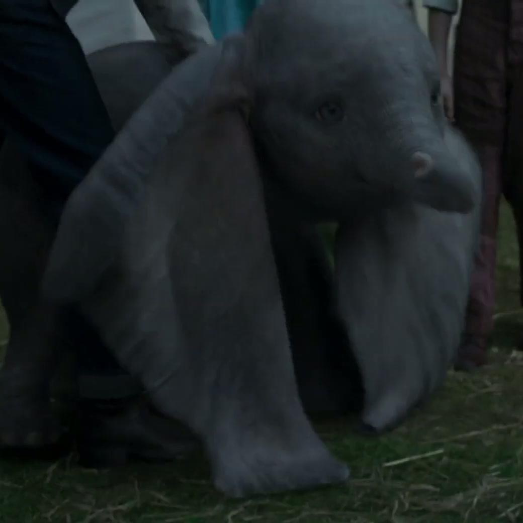 Beautiful creature, we'll take care of your son. - Dumbo | Clip.Cafe