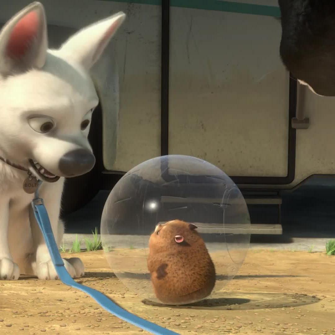 Bolt! I can be a valuable addition to your team... I'm listening... I'm ...