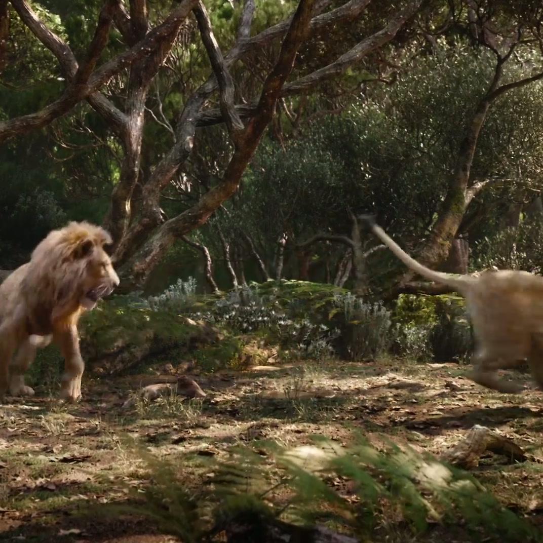(BOTH LAUGHING) Nala, what're you doing?Oh, my... - The Lion King ...