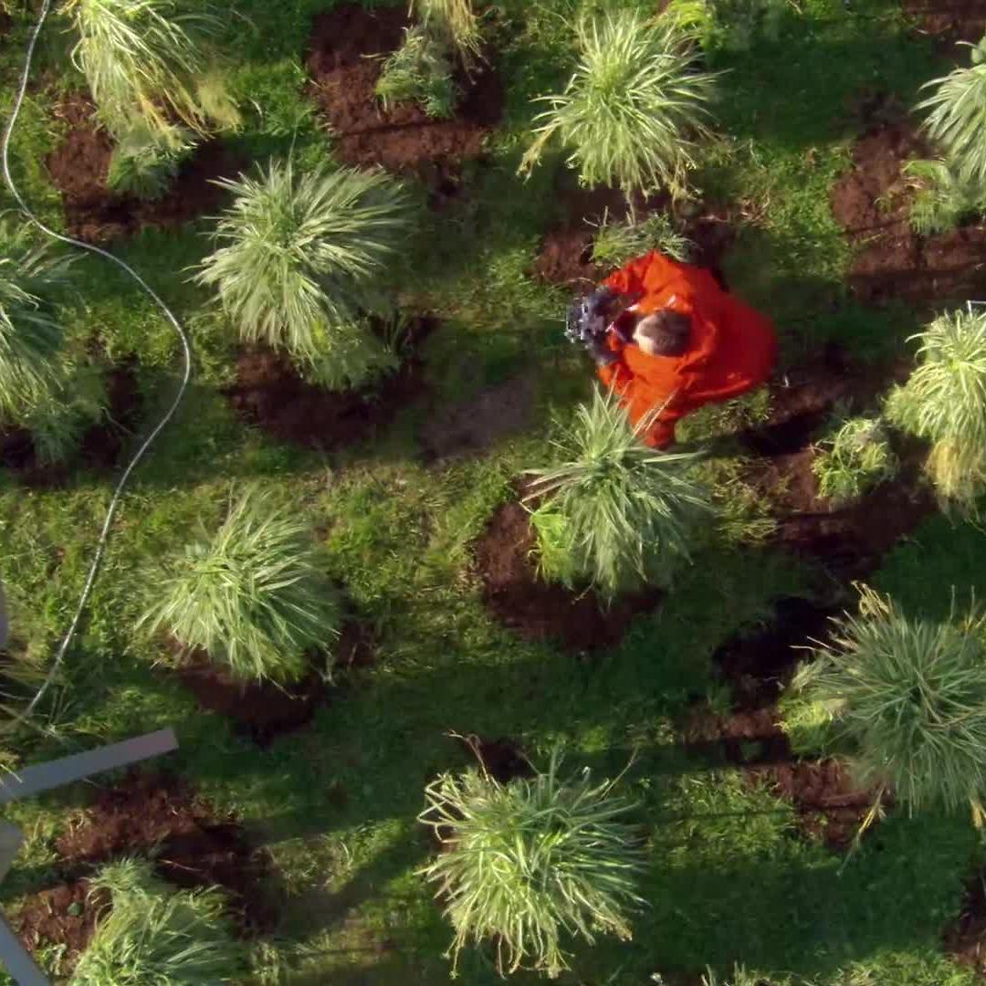 * Bum ba dum bum bumBum ba dum bum * - Eureka | Clip.Cafe
