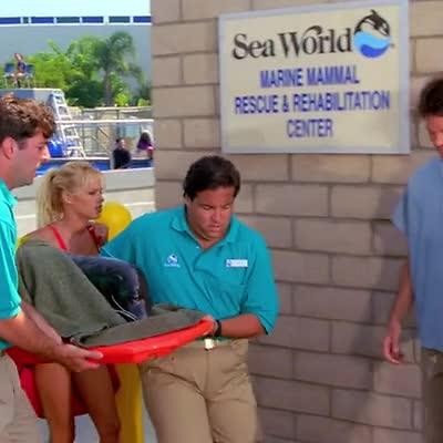 CAPTAIN THOMAS FROM BAYWATCH. HERE'S THE INJURED SEALION WE CALLED YOU ...
