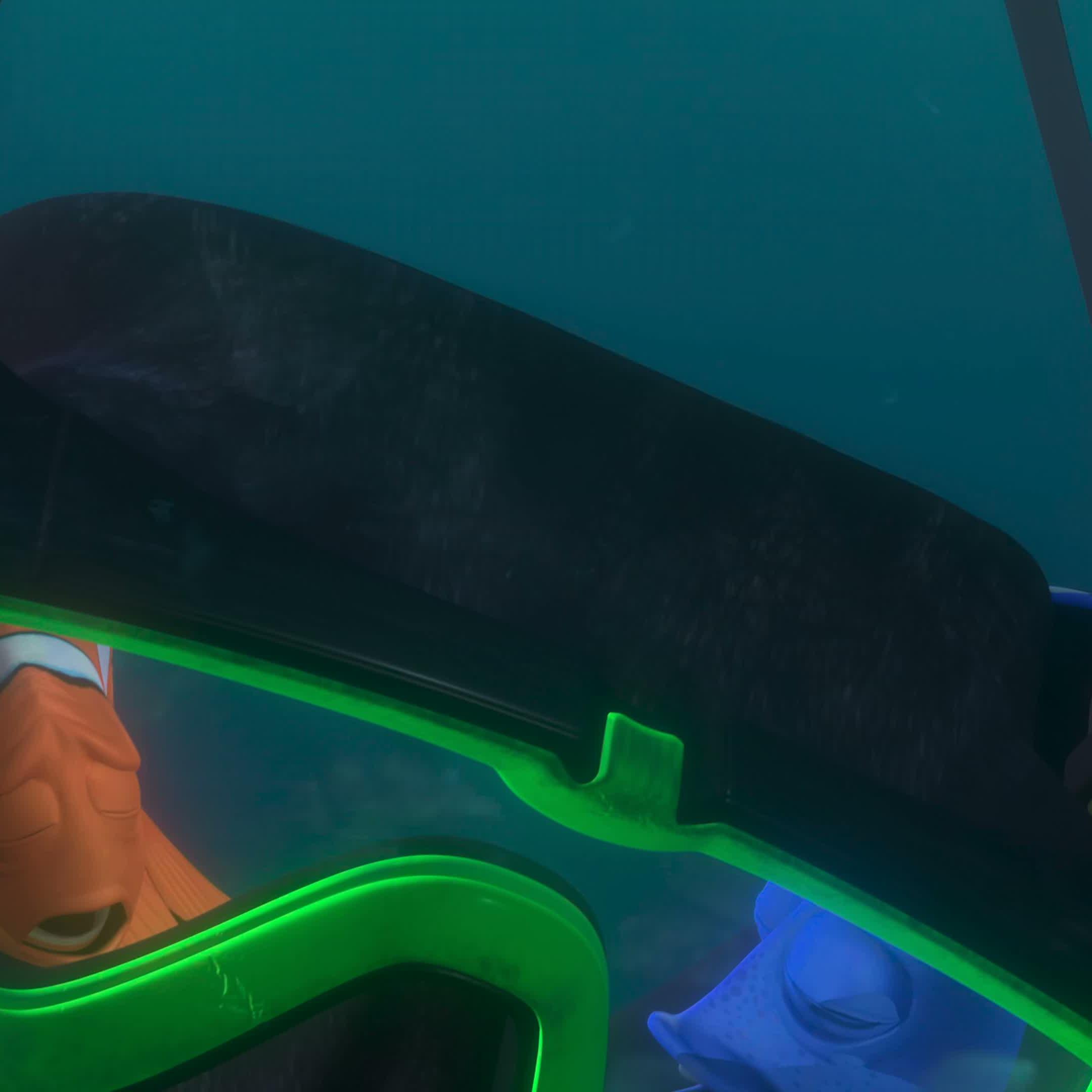 Careful with that hammer.- Huh? No, no. What does it say? Dory! A sea ...