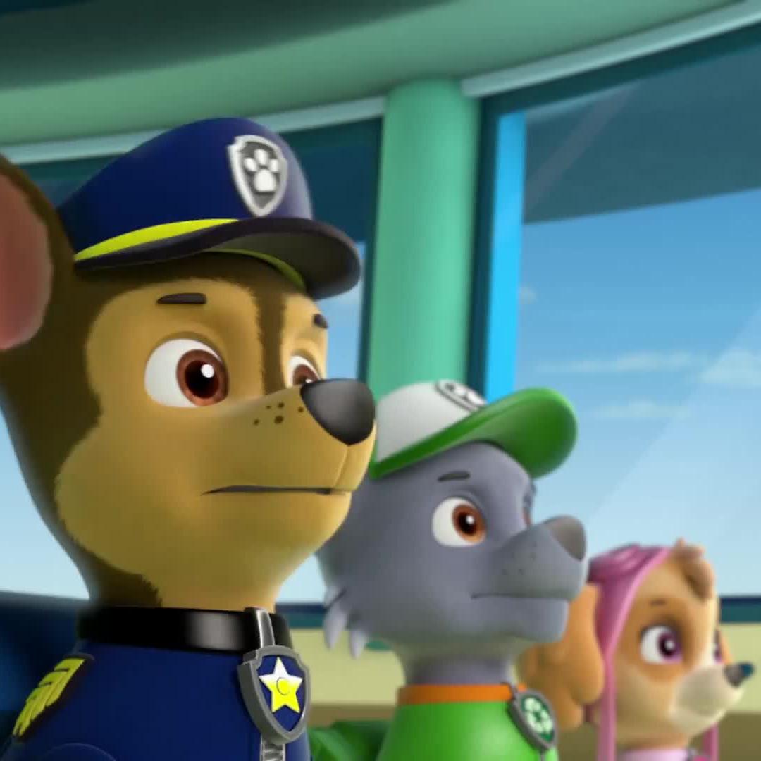 Chase is on the case. - PAW Patrol | Clip.Cafe