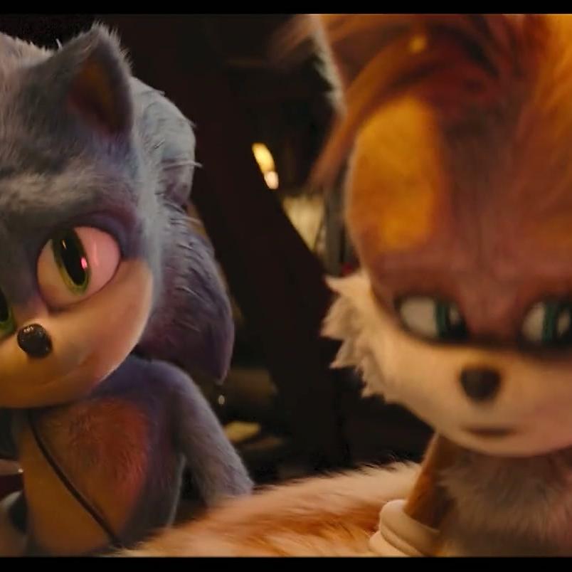 Everyone in my villagethought my two tails were weird. - Sonic the ...
