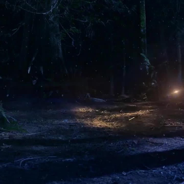 "RAY GUNS. COOL. IF IT SHOOTS,IT CAN BE SHOT AT. THAT WAS A BAD SHOT ...