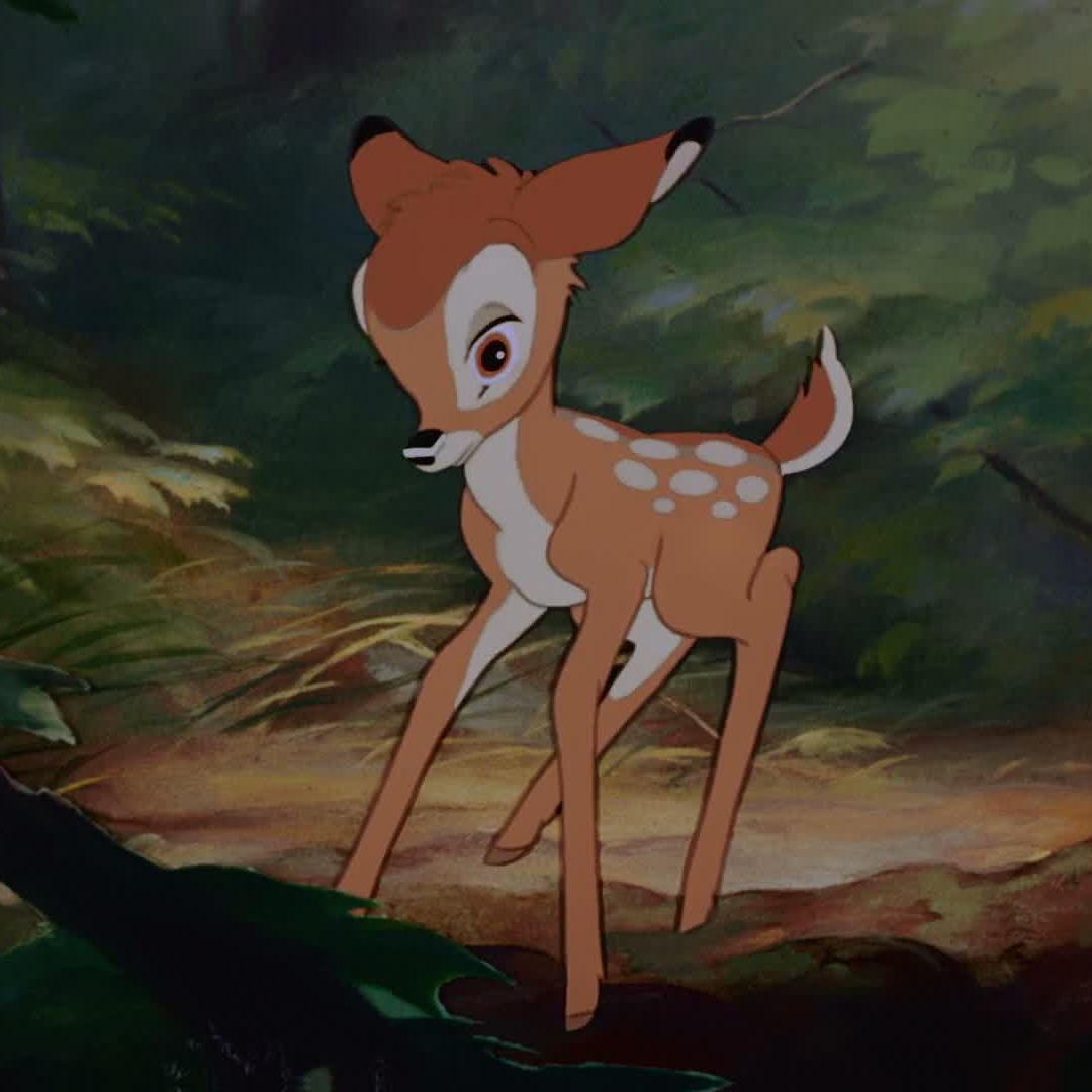 Good morning. Nice sunny day. - Bambi | Clip.Cafe