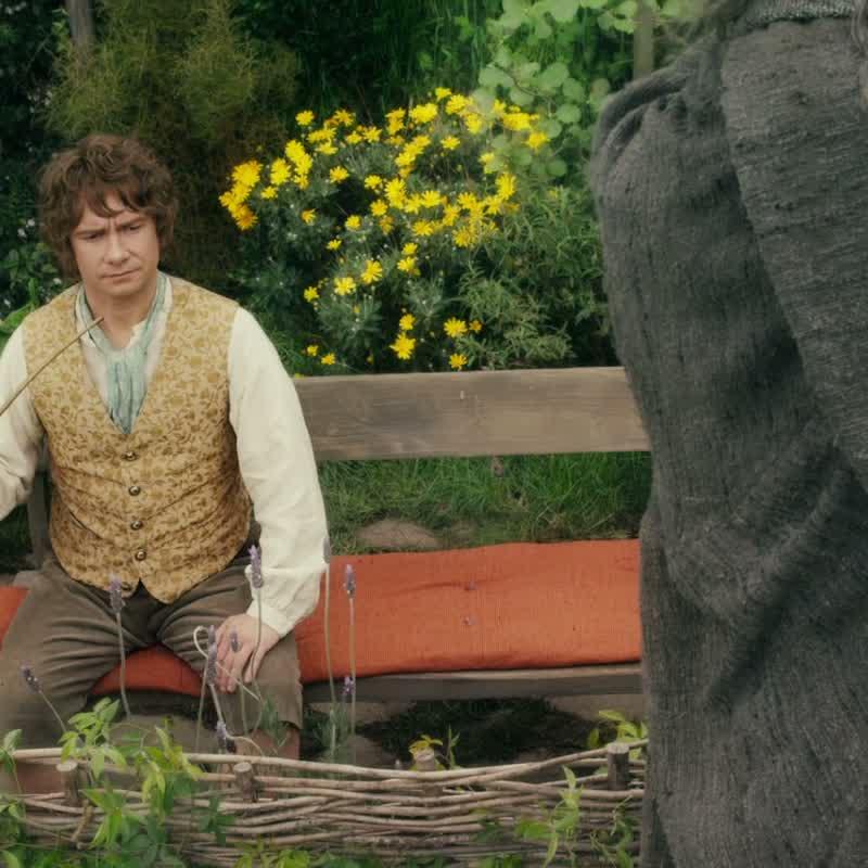 Hmm. - The Hobbit: An Unexpected Journey | Clip.Cafe