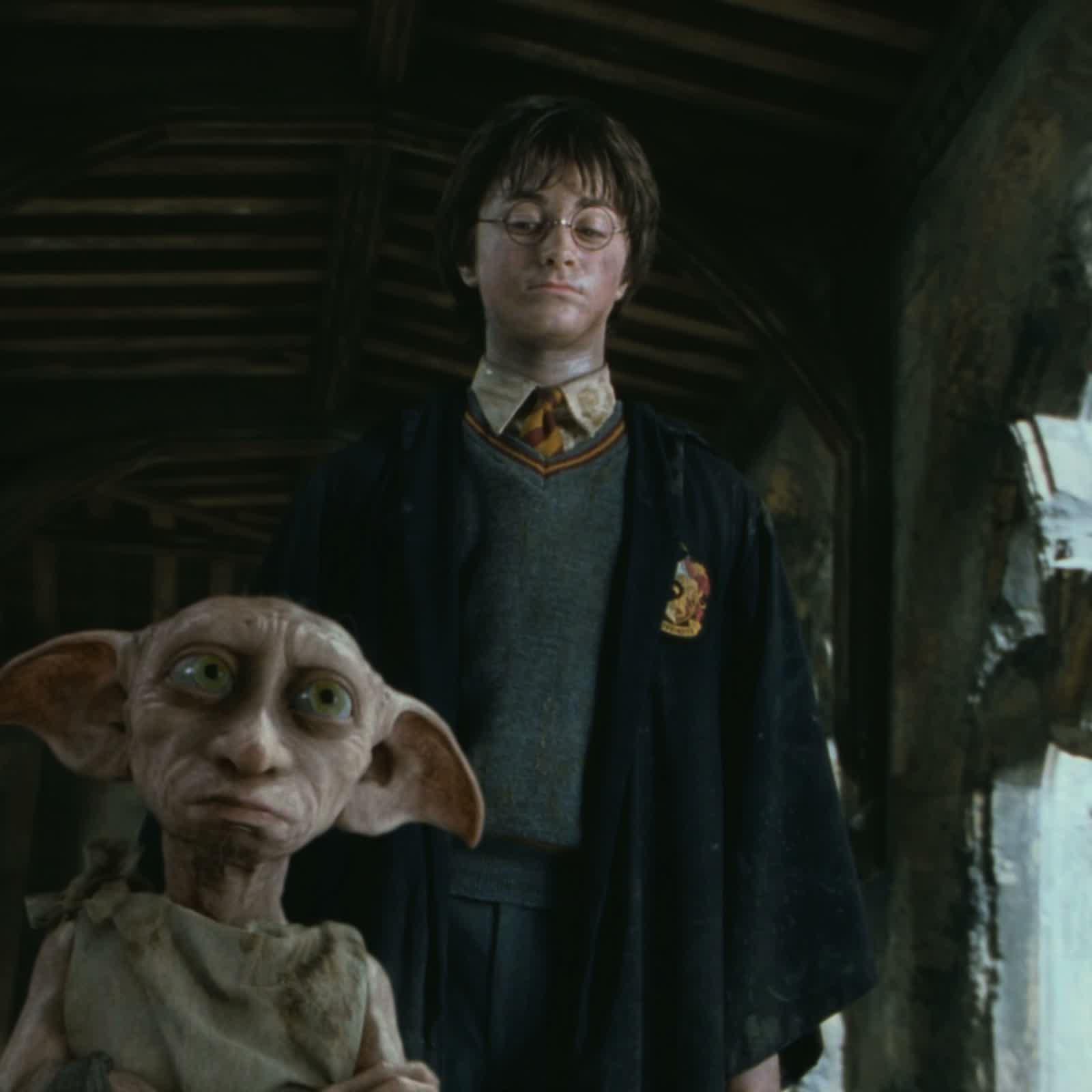 Harry Potter freed Dobby.How can Dobby ever repay him? - Just promise ...