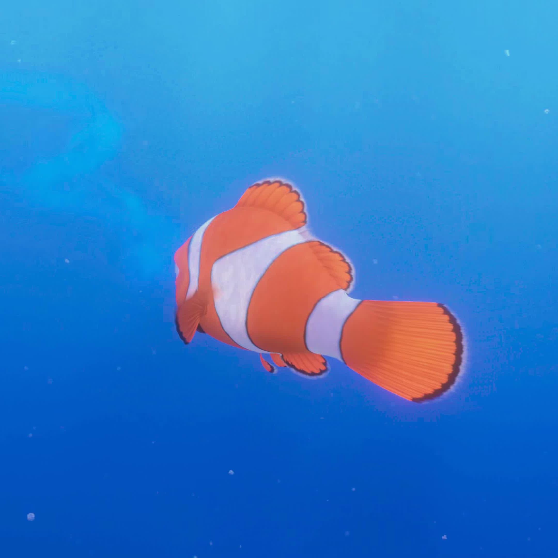 Ow! Bad squishy, bad squishy! - Finding Nemo | Clip.Cafe