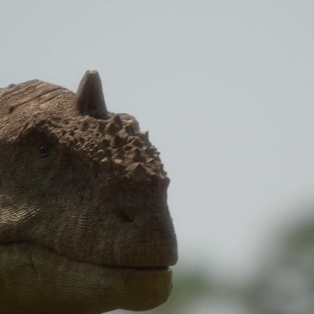 Majungasaurus, Madagascar's top hunter. - Prehistoric Planet | Clip.Cafe