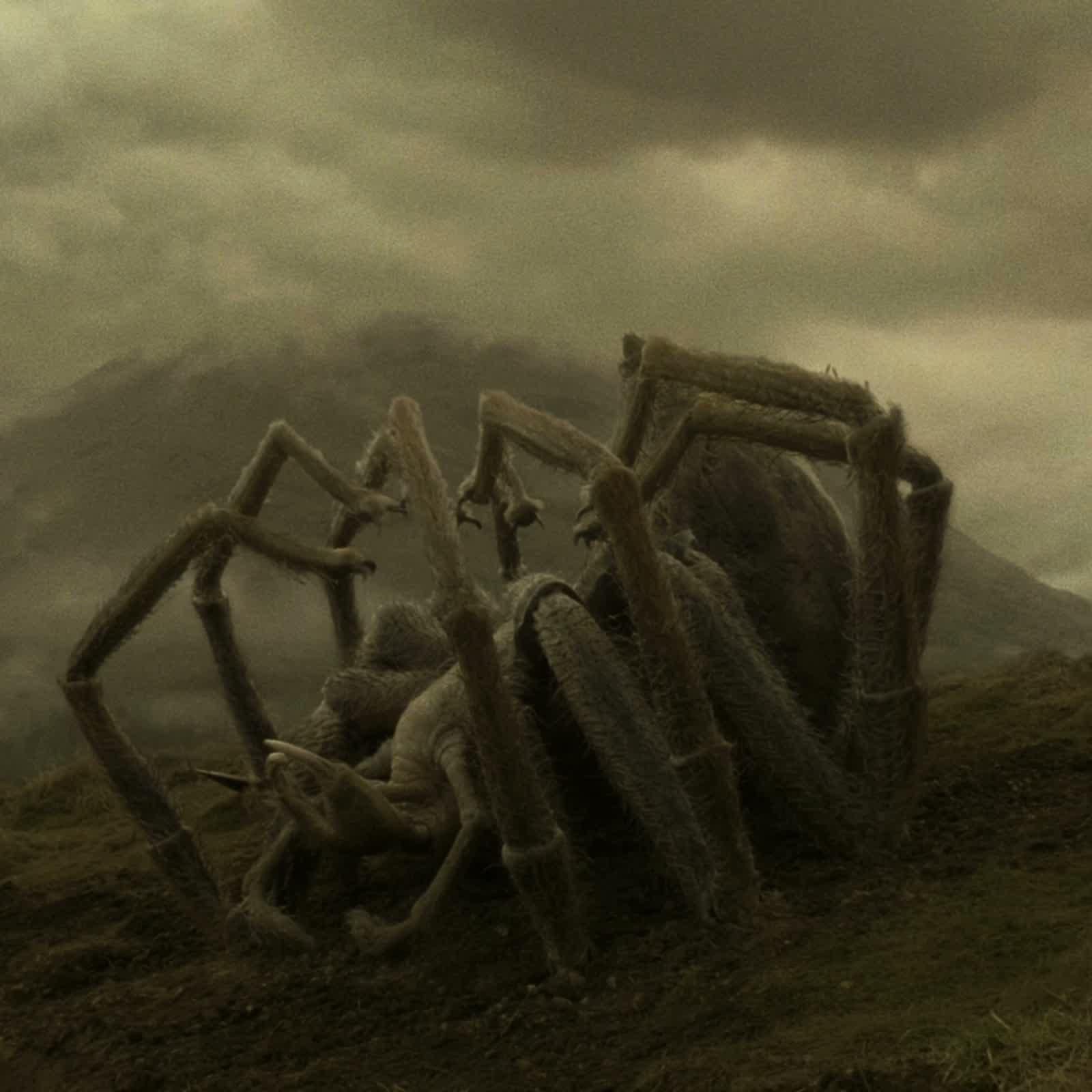 Merlin's beard.Is that an actual Acromantula? - Harry Potter and the ...