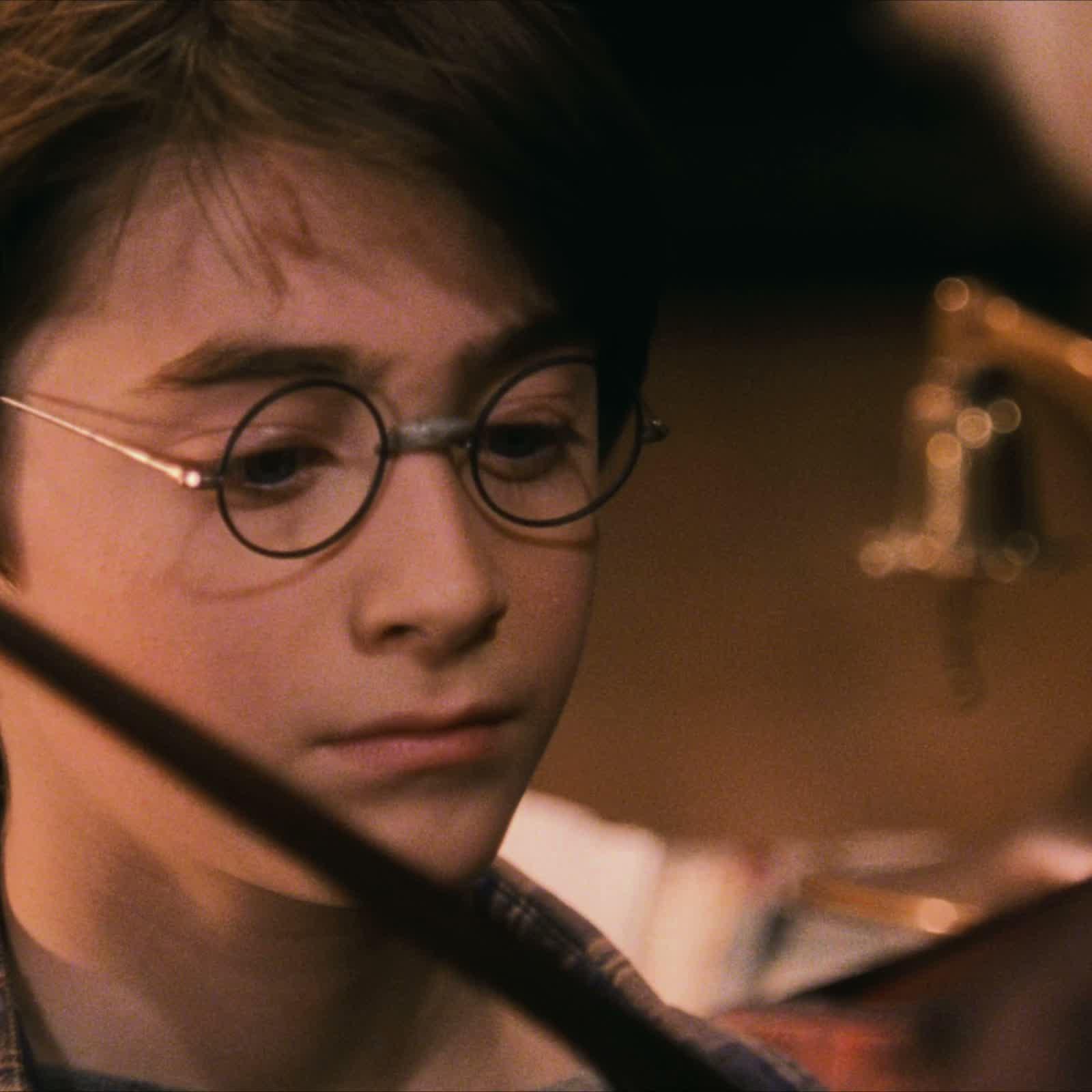 No, no, definitely not.No matter. - Harry Potter and the Sorcerer's ...