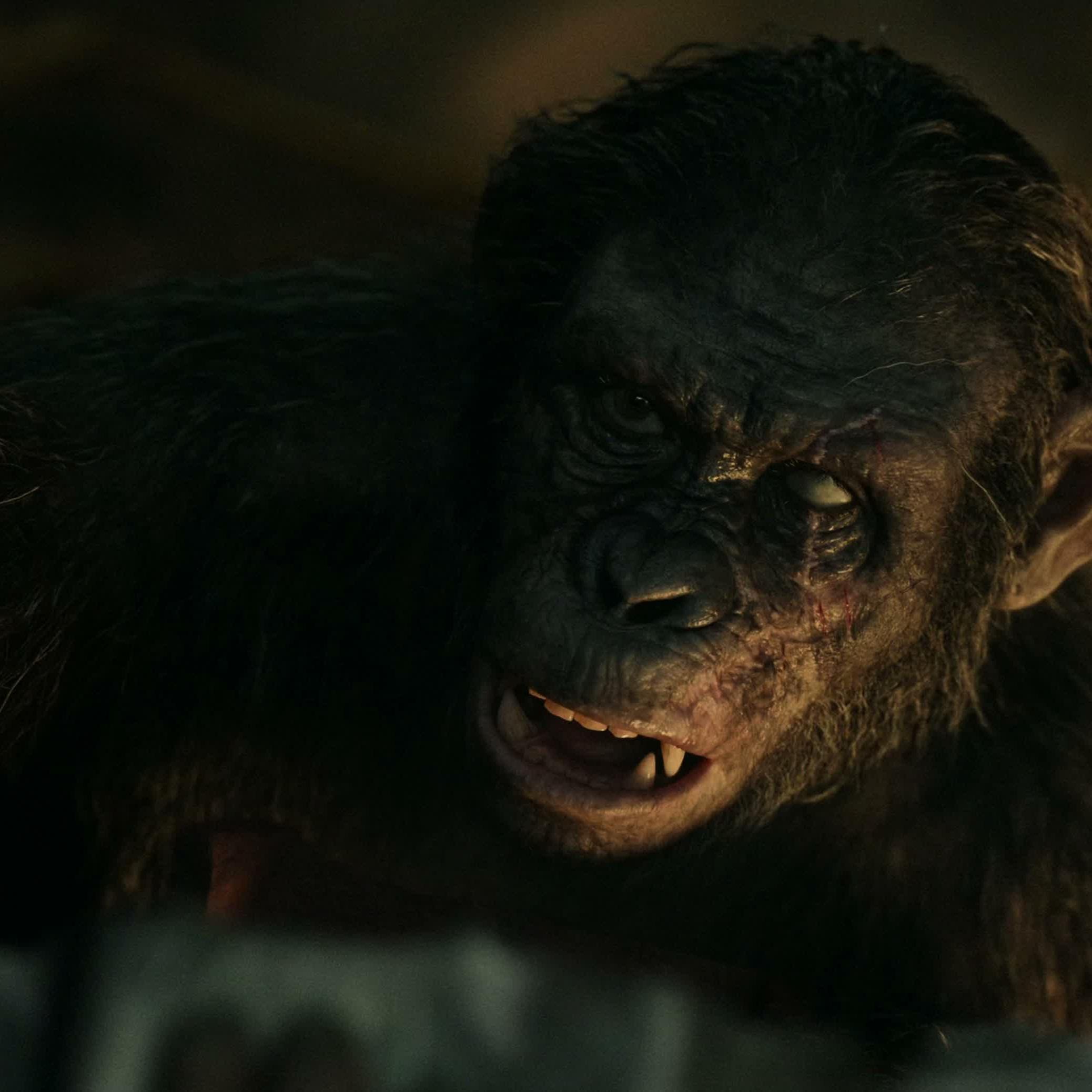 You are no ape. - Dawn of the Planet of the Apes | Clip.Cafe