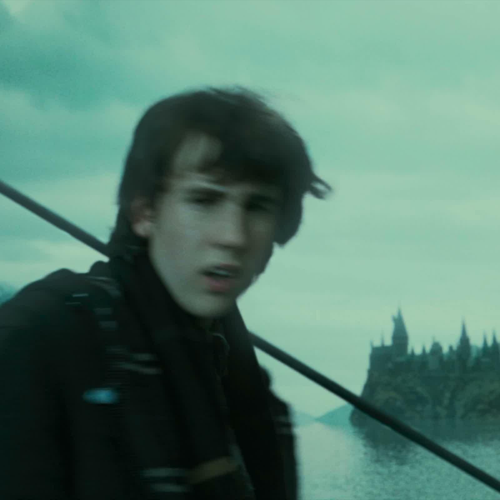Oh, my god! I've killed Harry Potter! - Harry Potter and the Goblet of ...