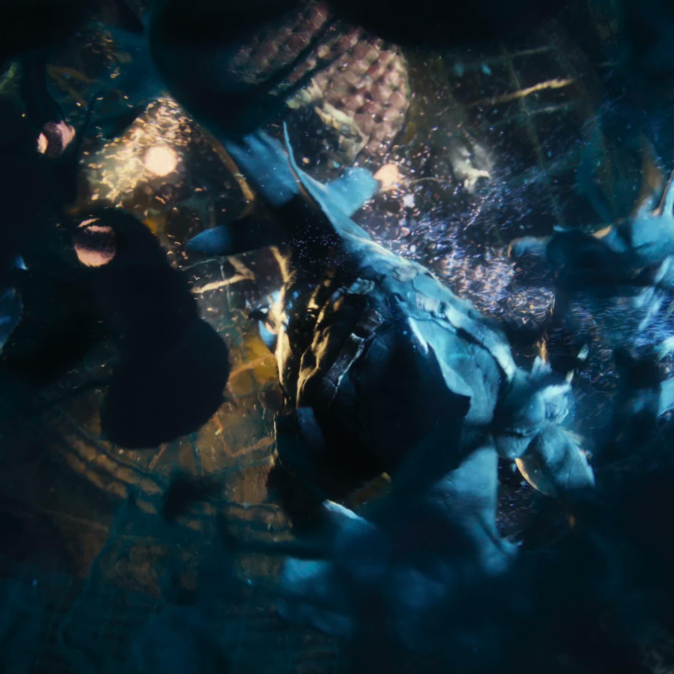 Rise up, comeRise up through the fire ♪ - Aquaman and the Lost Kingdom ...