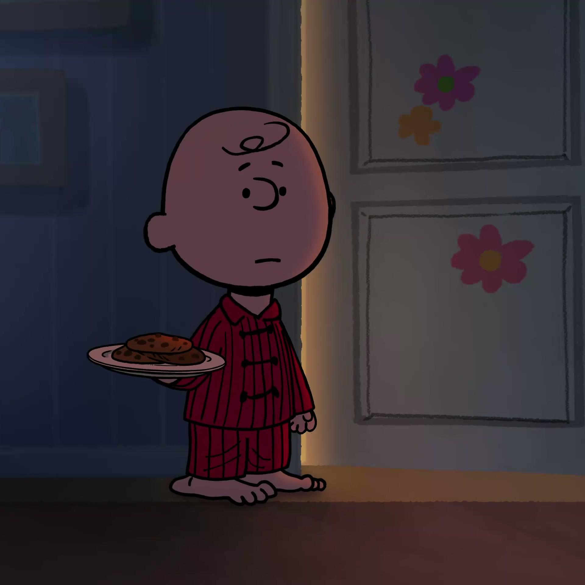 Sally? I know we had our differences,but look. - Snoopy Presents: It's ...