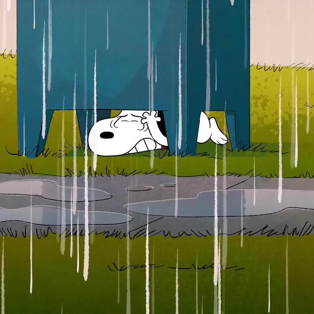 Snoopy, isn't this great? I love rainy days. Look at the splashing ...