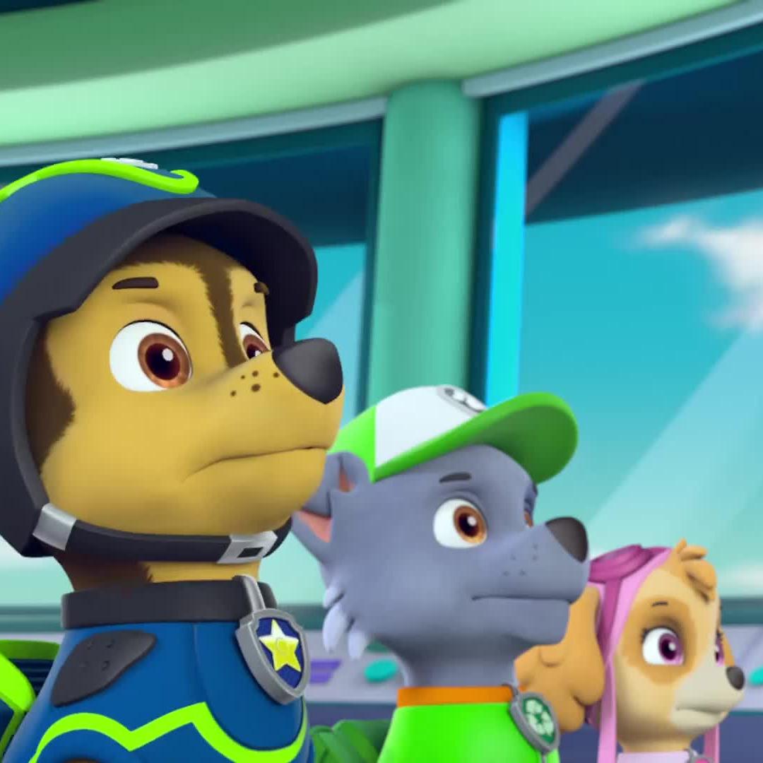 Chase is on the case. - PAW Patrol | Clip.Cafe