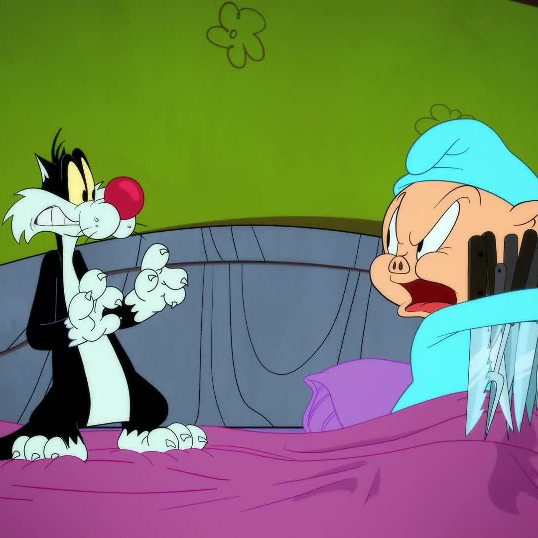 Sylvester! What are you trying to do?Scare me to death? I mean, really ...