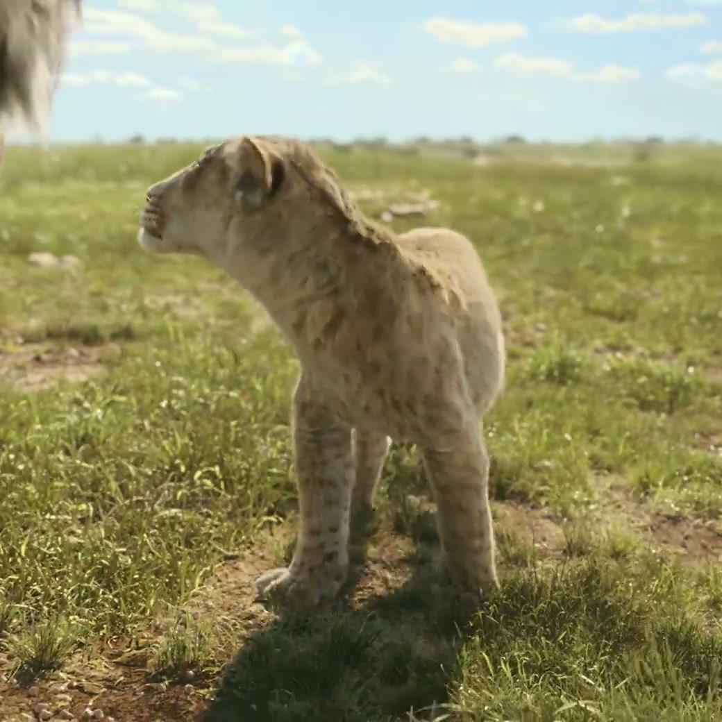 Taka, we do not associatewith Outsiders. - Mufasa: The Lion King | Clip ...