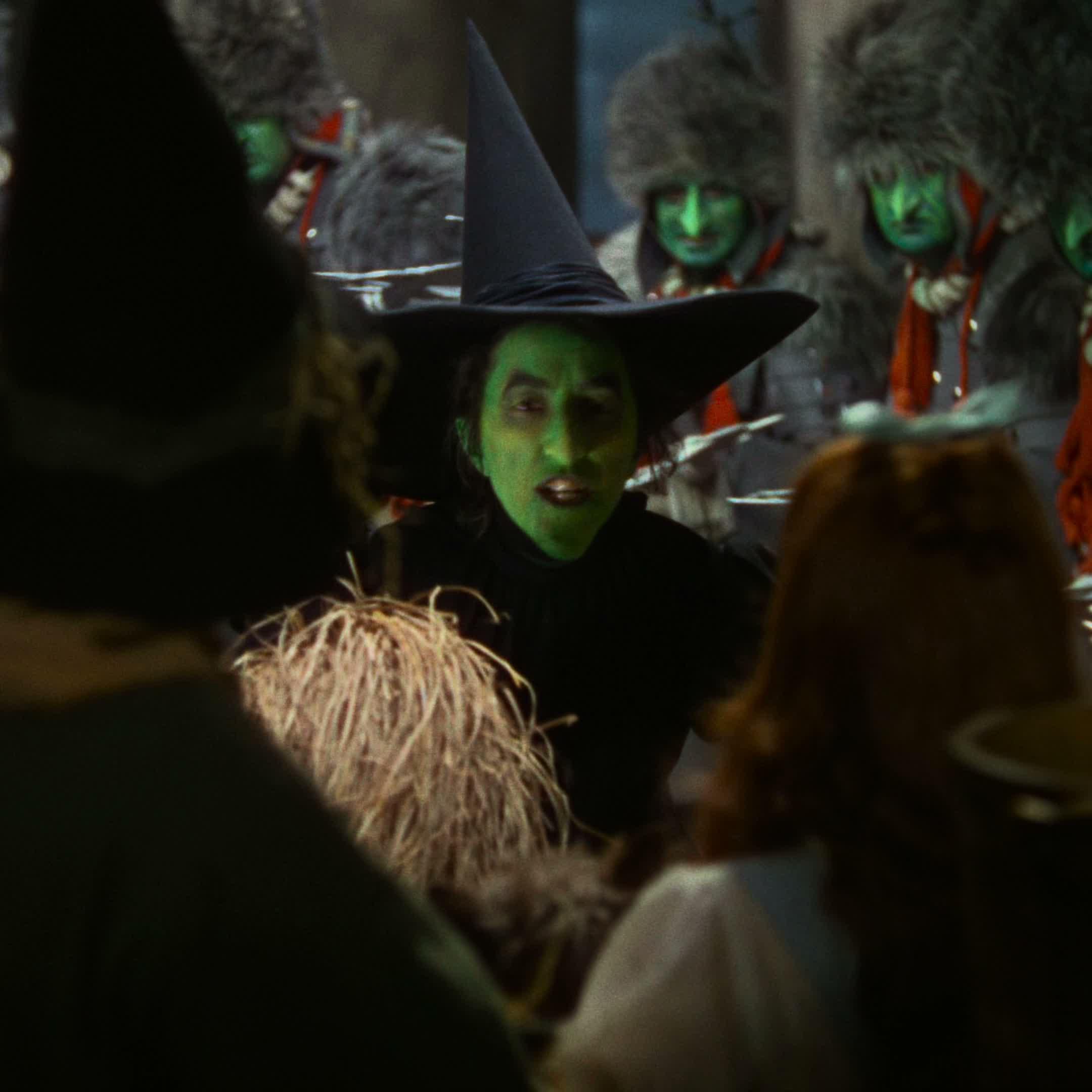 And her mangy little dog too. - The Wizard of Oz | Clip.Cafe