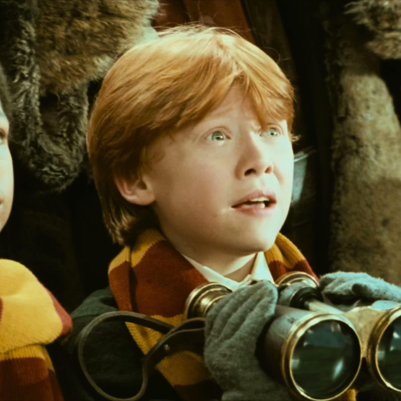 The Quaffle is releasedand the game begins! - Harry Potter and the ...