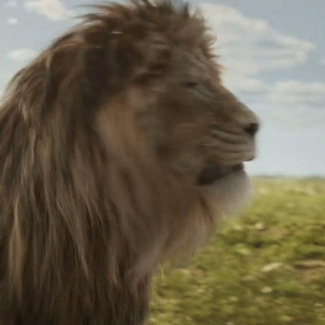 These Outsiders will devour everythingin their path. - Mufasa: The Lion ...