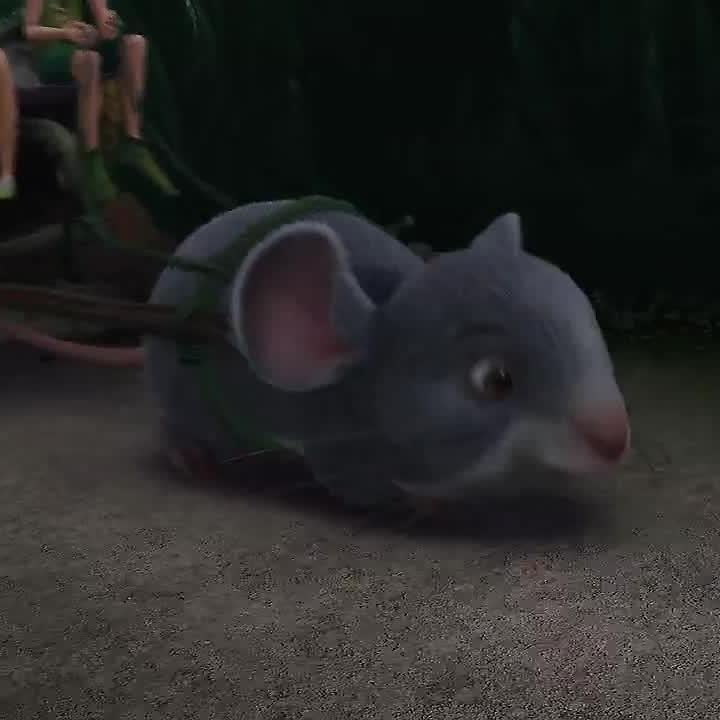 The mouse's name is Cheese? Must be. He always comes when we yell it ...