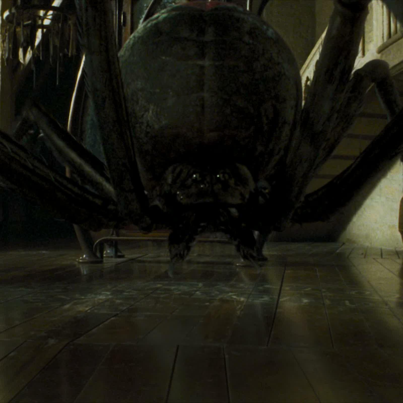 Wand at the ready, Ron. Riddikulus! Yes! You see? Very good, very good ...