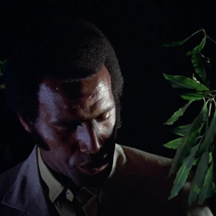 We'regoing away, son-- justthe two of us. We're going to start ...