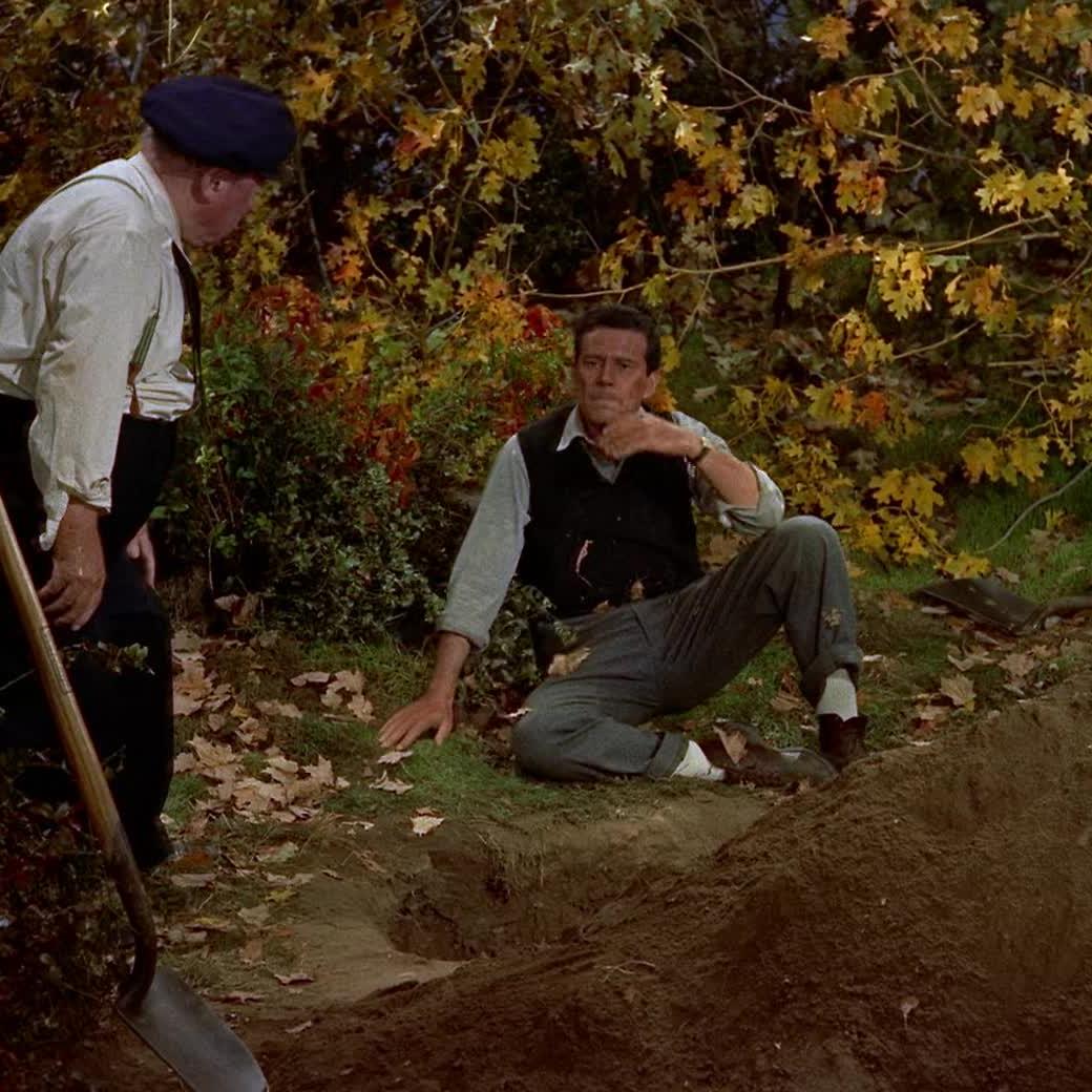 What are you thinking, Sammy? I think, Captain Wiles, we're tangled up ...