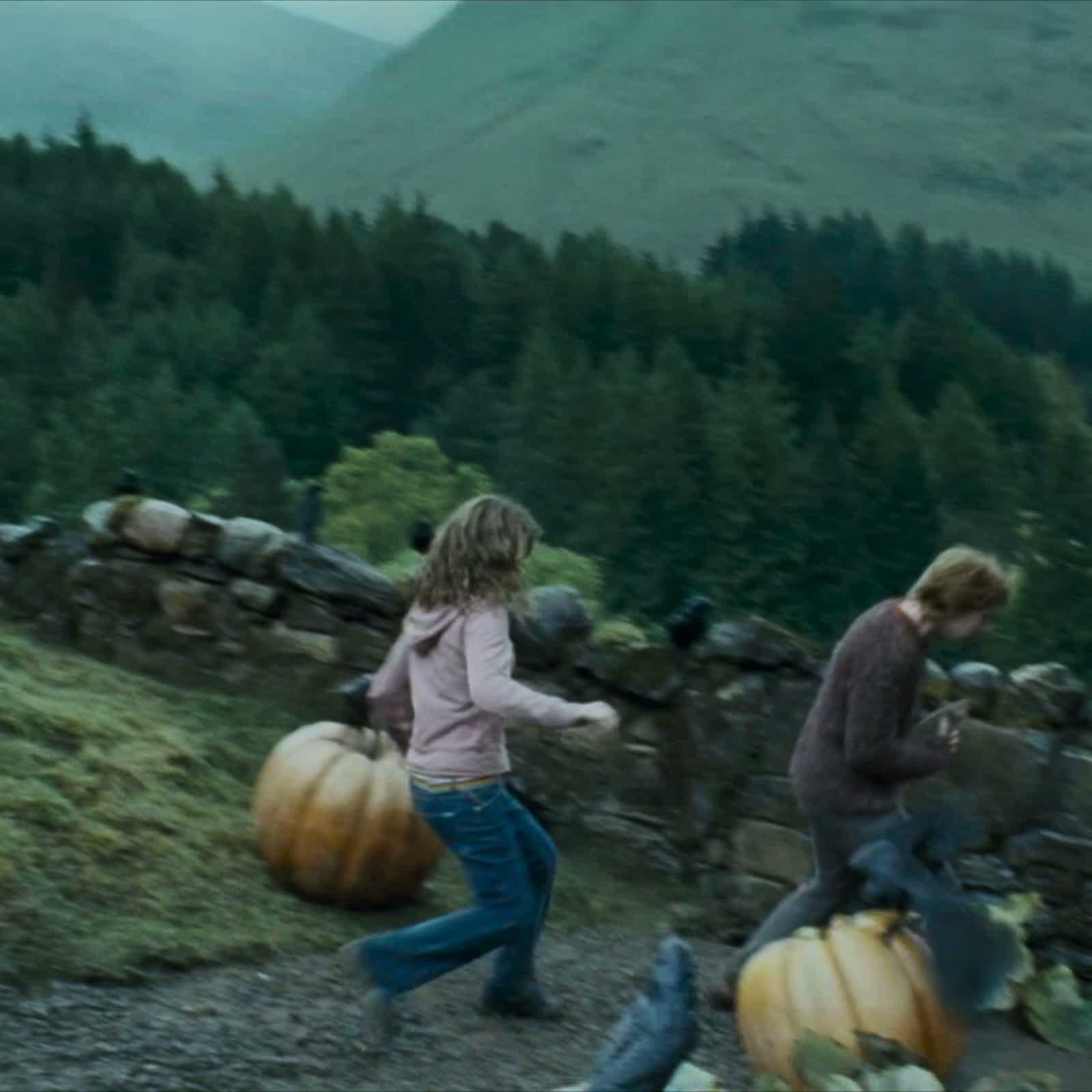 "- Where do you suppose this goes?- I have a hunch." - Harry Potter and ...