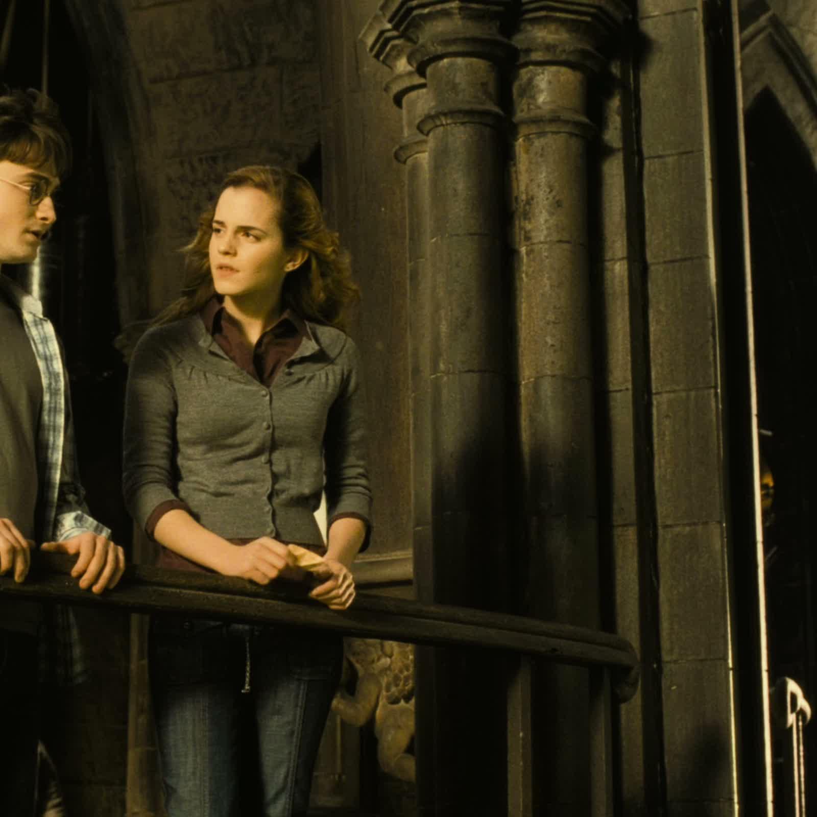 You need us, Harry. - Harry Potter and the Half Blood Prince | Clip.Cafe