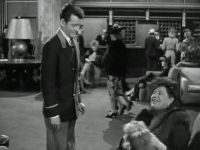 Madam, your dog. Ahh... mama'slittle angel. Him was a nice doggy, him ...