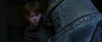 Ron, you don't supposethis is going to be like......real wizard's chess ...
