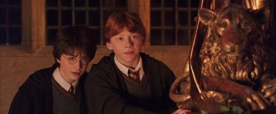 "Arania Exumai! Aragog! Aragog! I can't let you go. They'll have your ...
