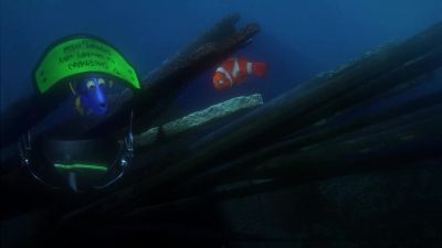 "Finding Nemo" Quotes | 328 video clips - Clip.Cafe