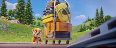 "PAW Patrol: The Movie" Quotes | 69 video clips - Clip.Cafe