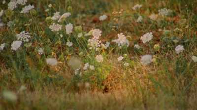 "Lost Women of Highway 20" Quotes | 496 video clips - Clip.Cafe