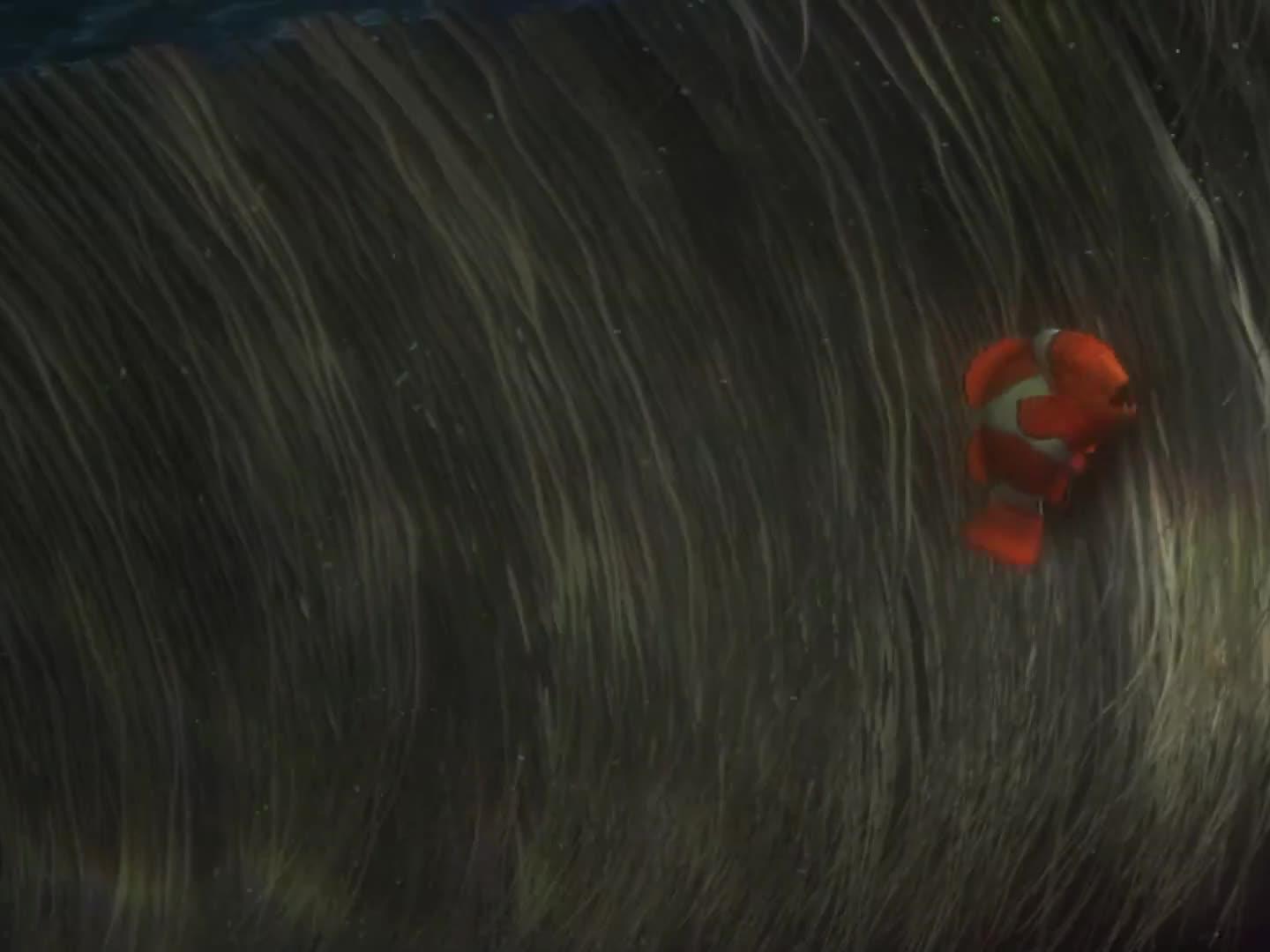 Aaah! Oof! - Finding Nemo | Clip.Cafe
