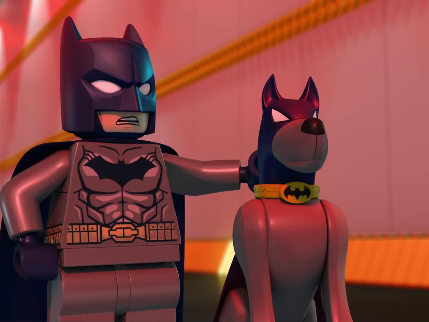 "Ace the Bat-Hound is more than a pet. He's the best sidekick a caped ...