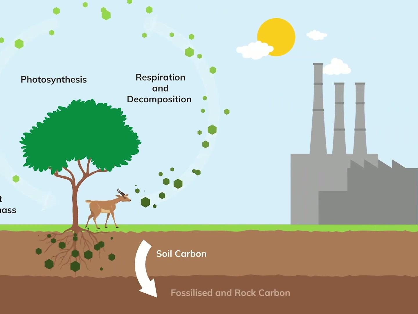 "And the difference betweena petroleum based plastic and a bioplastic ...