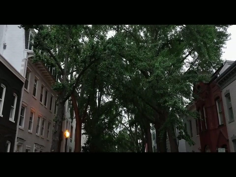 "At the same time, Joe, Victorand Dylan pulled up stakes, sold the ...