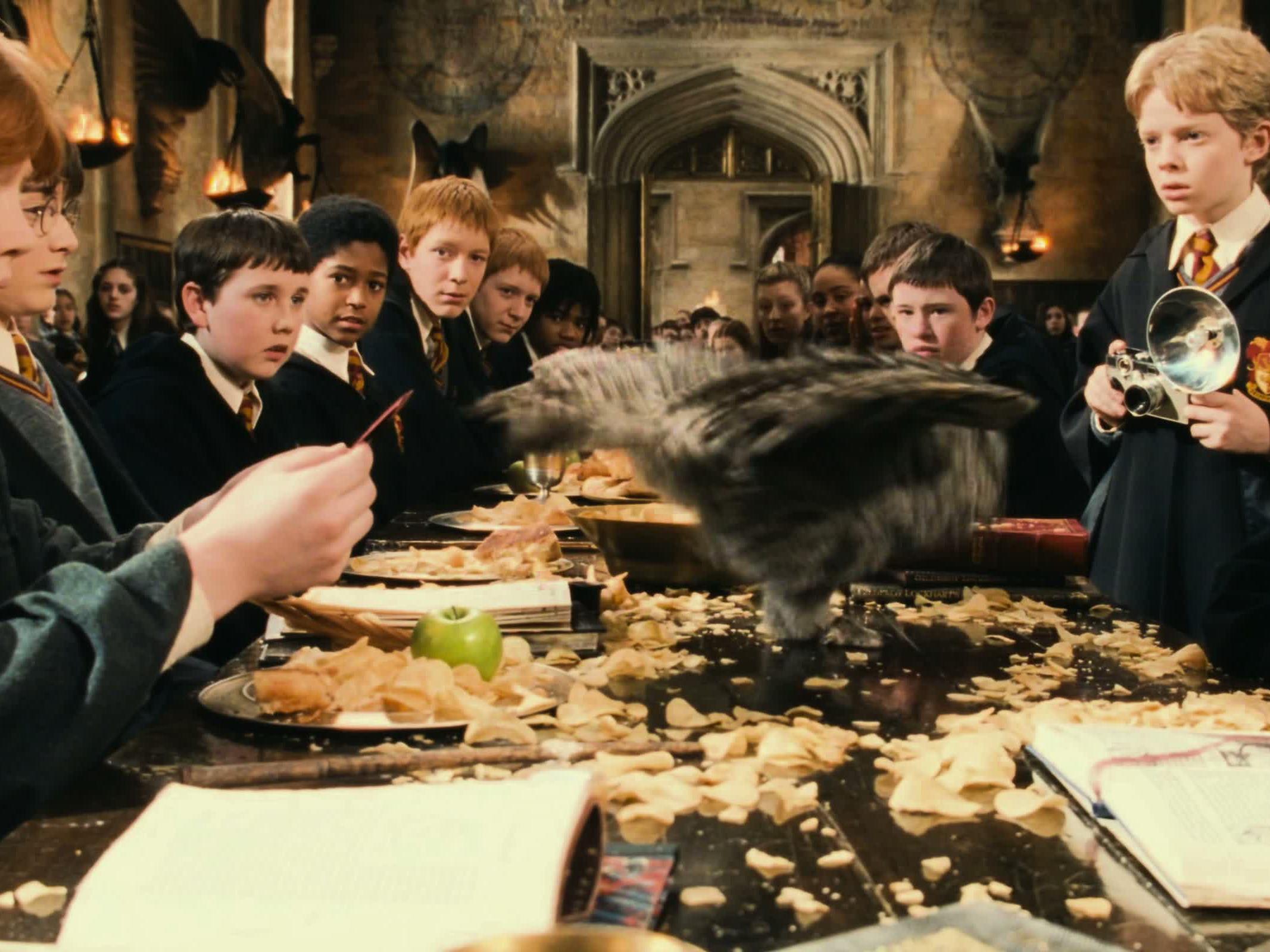 Oh, no. Look, everyone.Weasley's got himself a Howler. Go on, Ron. I ...
