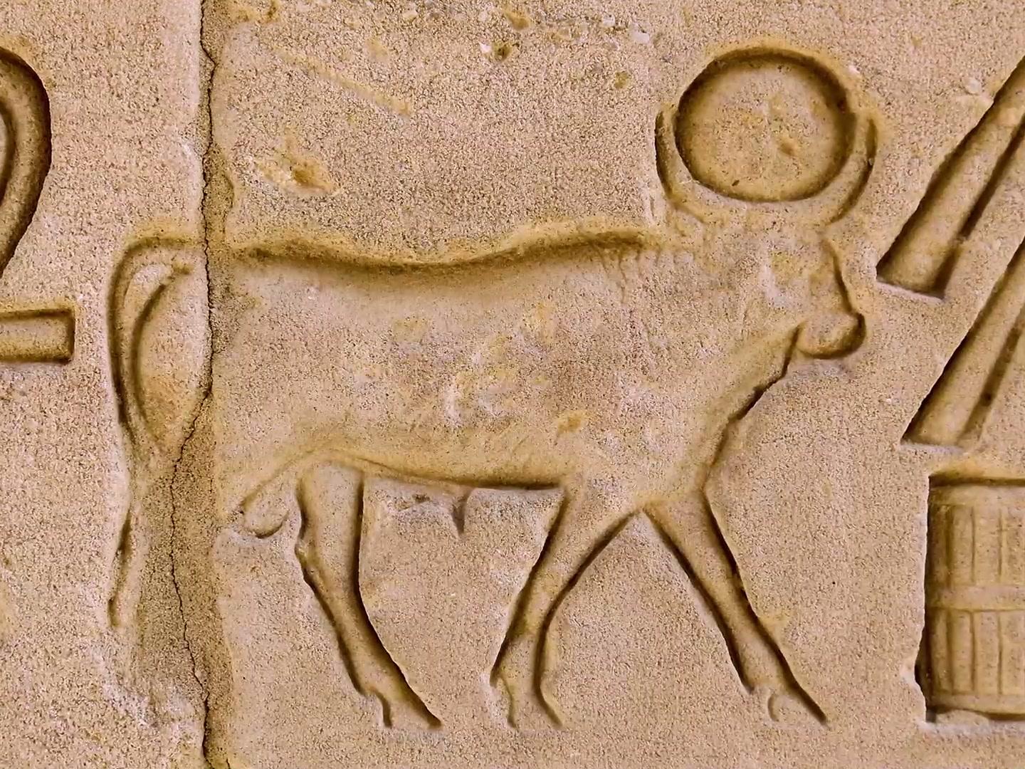 - Bulls are extremely importantto the ancient Egyptians. - The ...