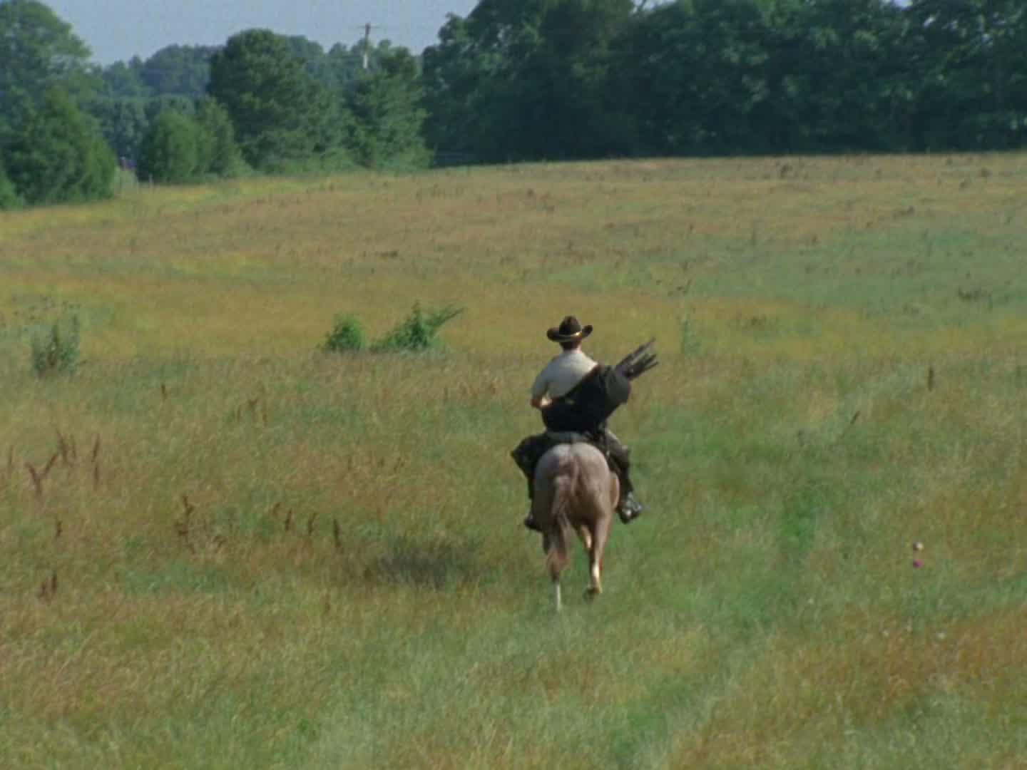 Easy. Easy, boy. Easy, easy, easy. - The Walking Dead | Clip.Cafe