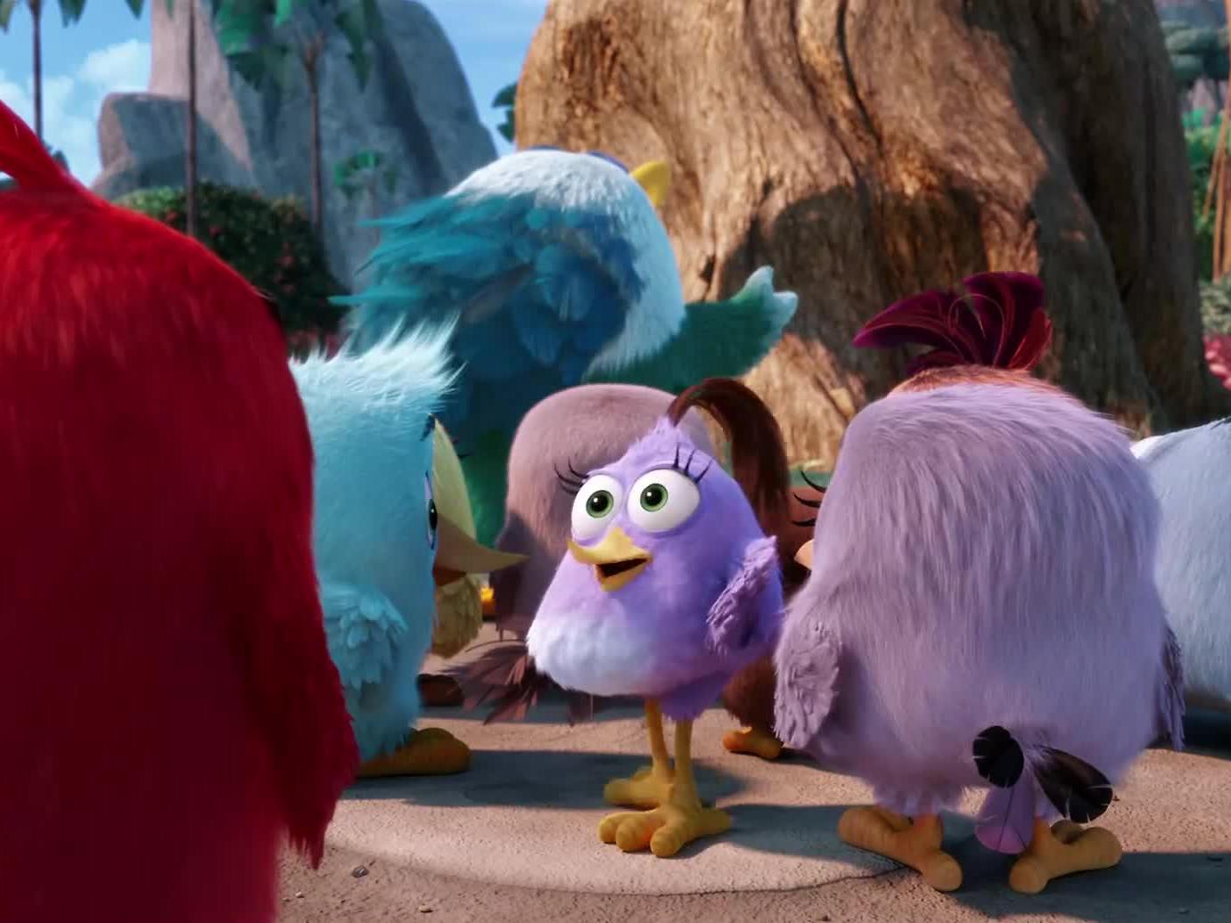 If anyone knows what these pigs are up to, it's Mighty Eagle. It's ...