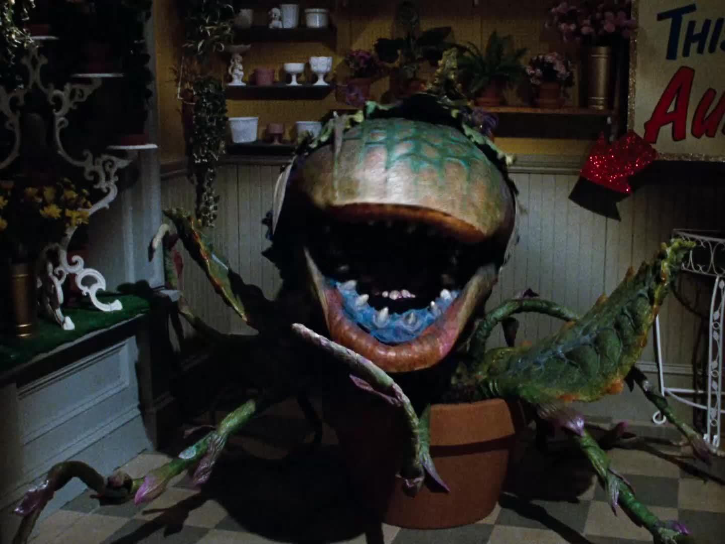 Feed me, Seymour / Feed me all night long - That's right, boy! - You ...