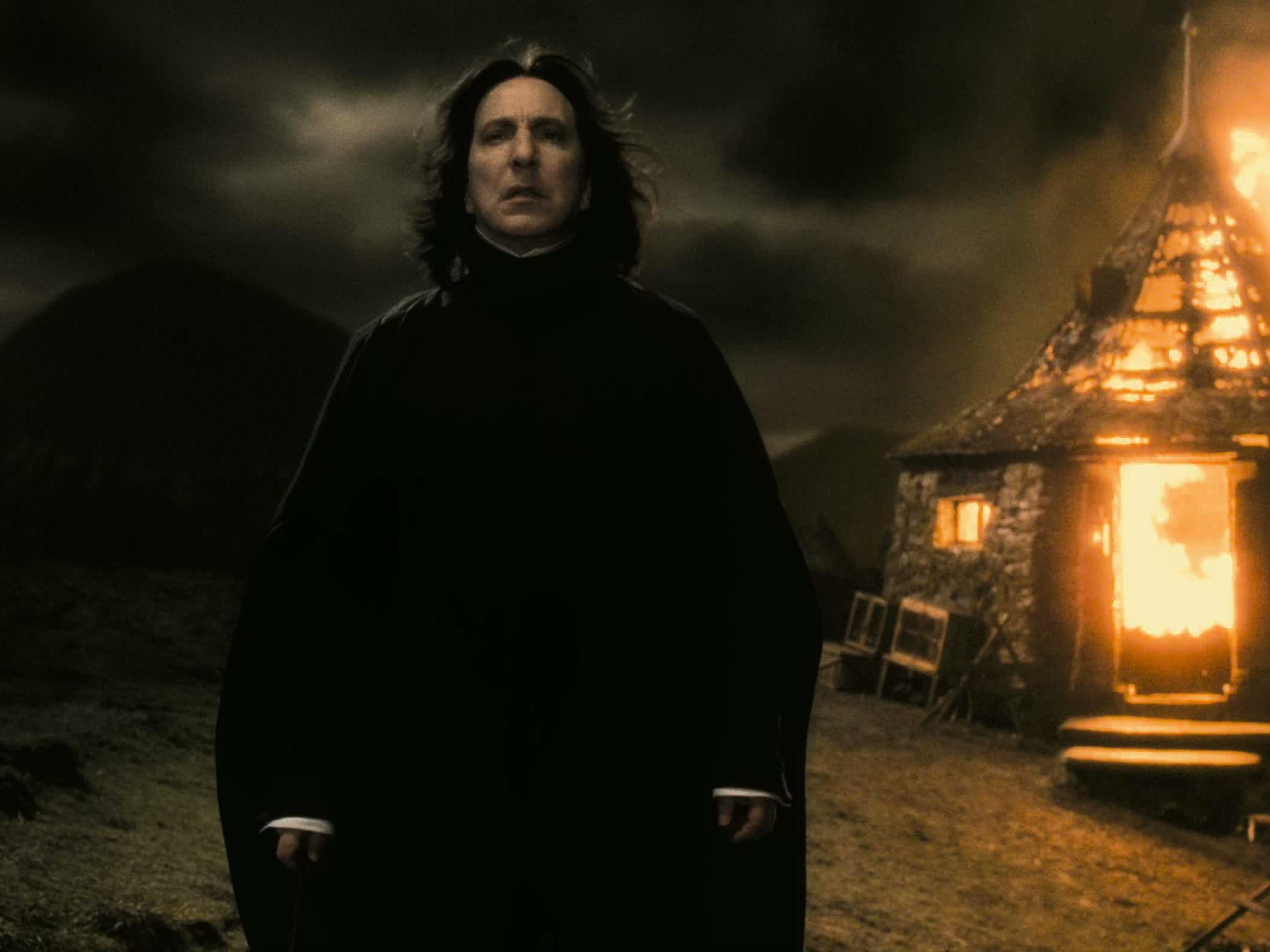 Fight back, you cowards, fight back! - Harry Potter and the Half Blood ...