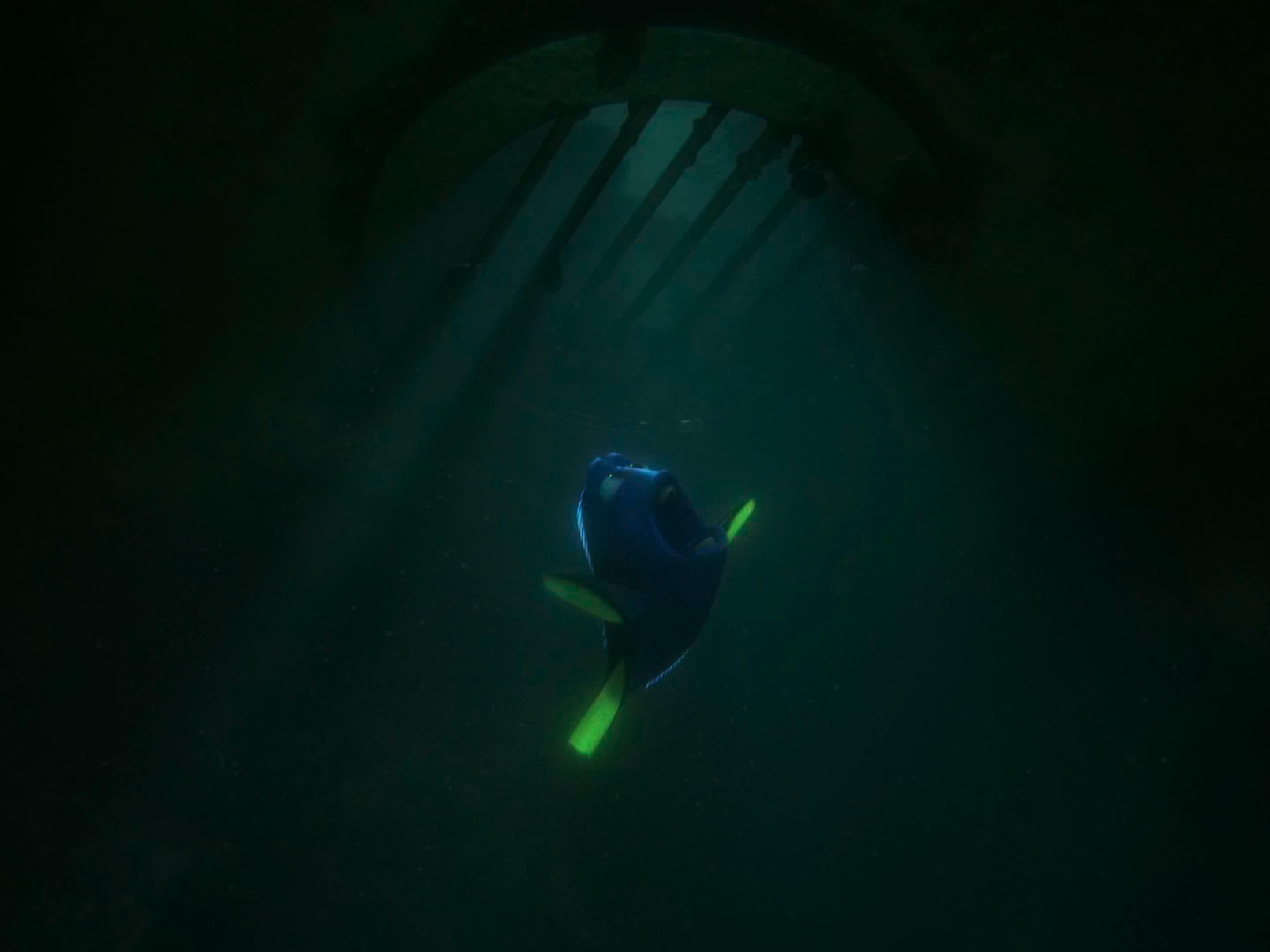 DON'T BAIL ON ME, BAILEY! - Finding Dory | Clip.Cafe